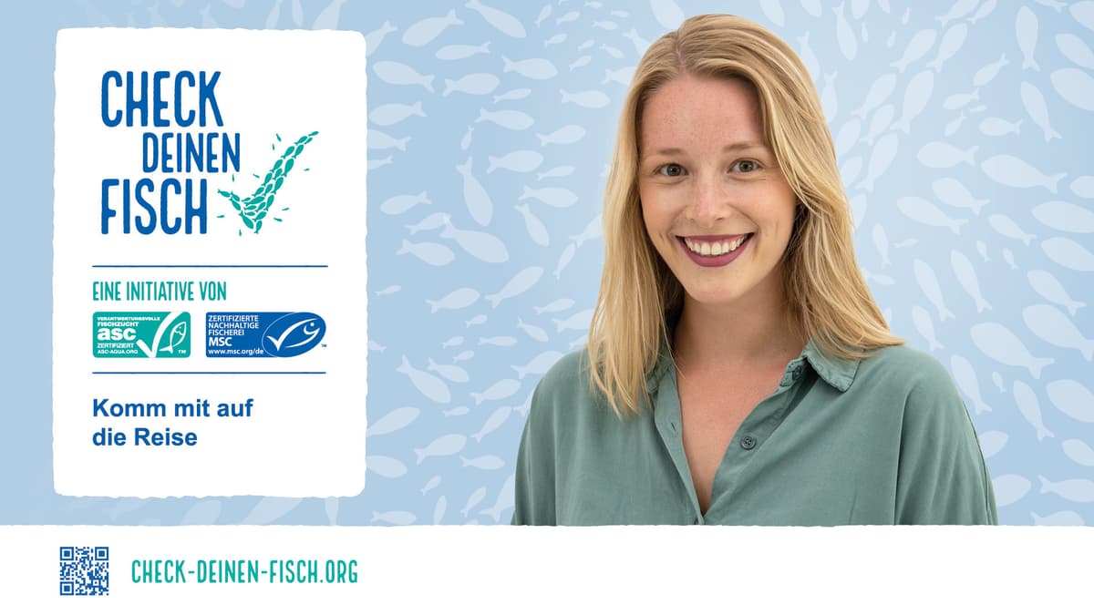 Stories: Transparenzkampagne für ASC / MSC | intention Werbeagentur